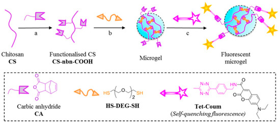 Update on Chitosan-Based Hydrogels: Preparation, Characterization, and ...