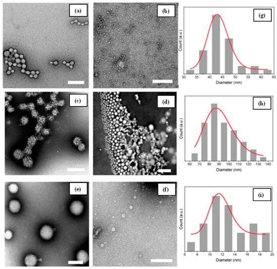 Update on Chitosan-Based Hydrogels: Preparation, Characterization, and Its Antimicrobial and ...