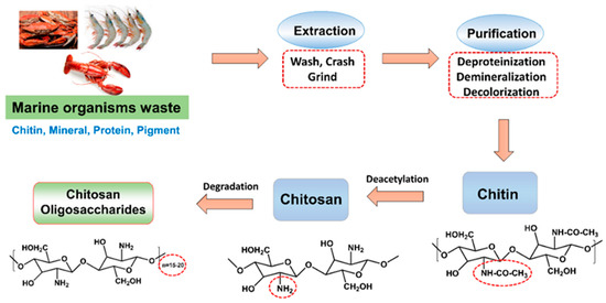 Update on Chitosan-Based Hydrogels: Preparation, Characterization, and Its Antimicrobial and ...