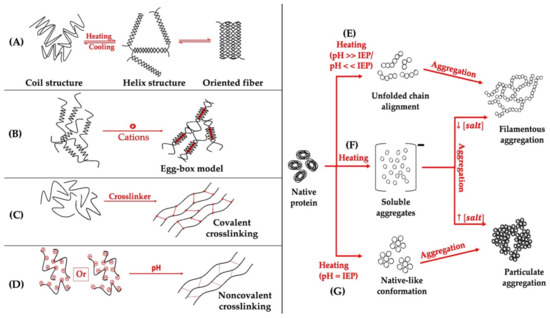Binary Hydrogels: Induction Methods and Recent Application Progress as ...