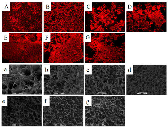 Walnut Protein Isolate-κ-Carrageenan Composite Gels Improved with ...
