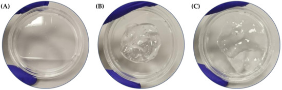 Antimicrobial Efficacy Assessment and Rheological Investigation of Two ...