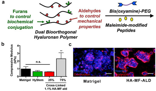 Engineering Hydrogels for Modulation of Dendritic Cell Function