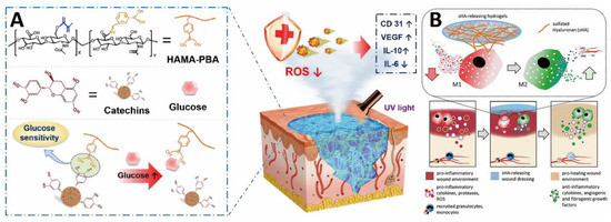 Polysaccharide-Based Multifunctional Hydrogel Bio-Adhesives for Wound ...