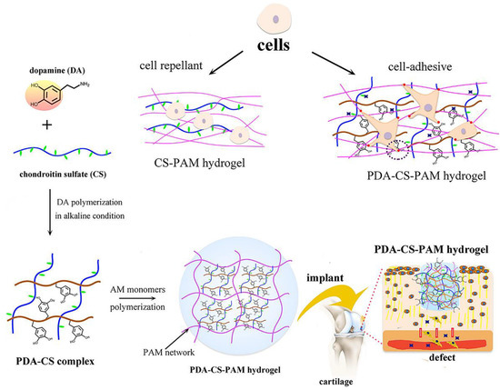 Polysaccharide-Based Multifunctional Hydrogel Bio-Adhesives for Wound ...