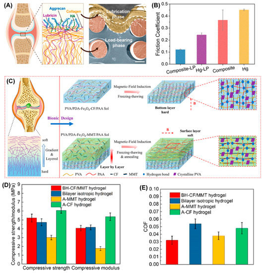 Gels | Free Full-Text | Recent Progress in Hydrogel-Based Synthetic ...