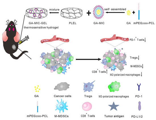 Applications of Hydrogels in Drug Delivery for Oral and Maxillofacial Diseases