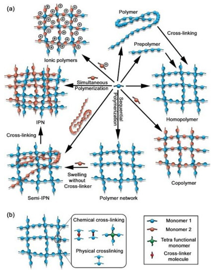 Polymer Gels: Classification and Recent Developments in Biomedical Applications