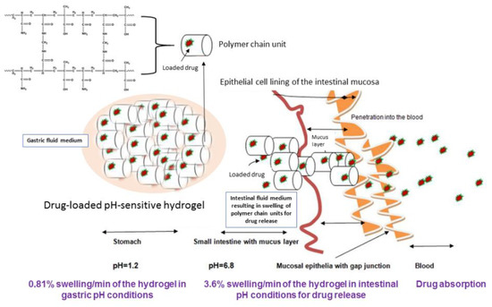 Polymer Gels: Classification and Recent Developments in Biomedical Applications