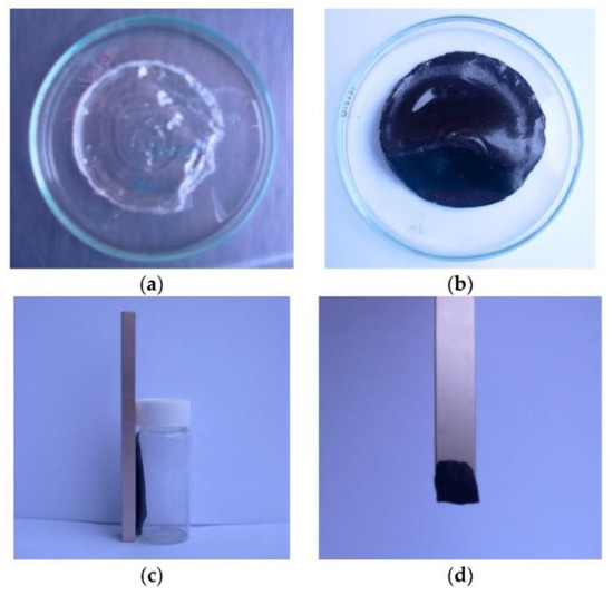 Polymer Gels: Classification and Recent Developments in Biomedical Applications