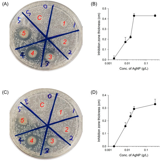 Silver-Composited Polydopamine Nanoparticles: Antibacterial and ...