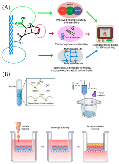 Gels | Free Full-Text | Application of Collagen-Based Hydrogel in Skin ...