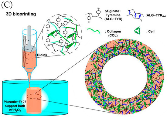 Gels | Free Full-Text | Application of Collagen-Based Hydrogel in Skin ...