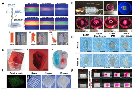 Recent Advances in Decellularized Matrix-Derived Materials for Bioink ...