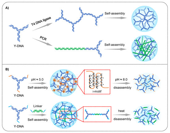 Polymeric DNA Hydrogels and Their Applications in Drug Delivery for ...