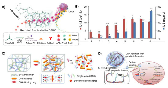 Polymeric DNA Hydrogels and Their Applications in Drug Delivery for ...