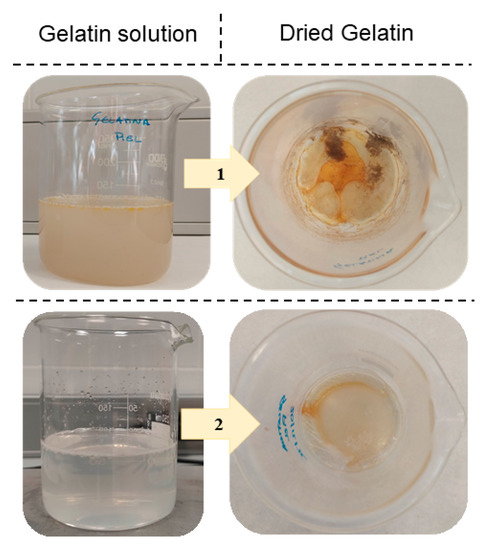 Optimization of the Extraction of Chitosan and Fish Gelatin from ...