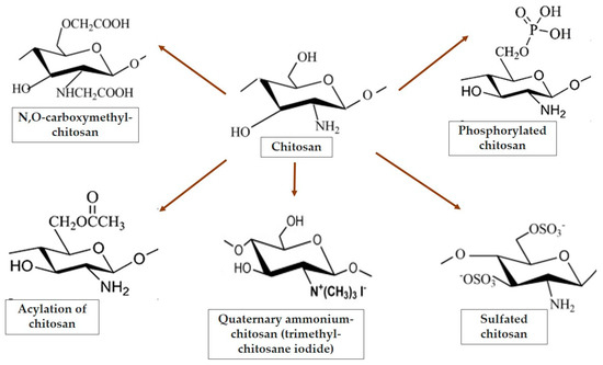 Gels | Free Full-Text | Double-Network Chitosan-Based Hydrogels with Improved Mechanical ...