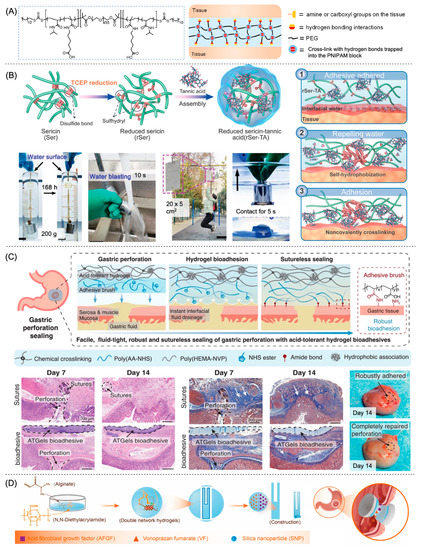 Advances in Hydrogel Adhesives for Gastrointestinal Wound Closure and ...