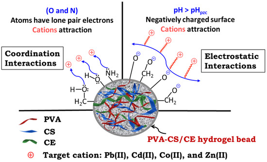 Synthesis and Characterization of Biodegradable Poly(vinyl alcohol)-Chitosan/Cellulose Hydrogel ...