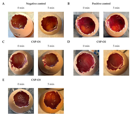 Caspofungin-Loaded Formulations for Treating Ocular Infections Caused ...