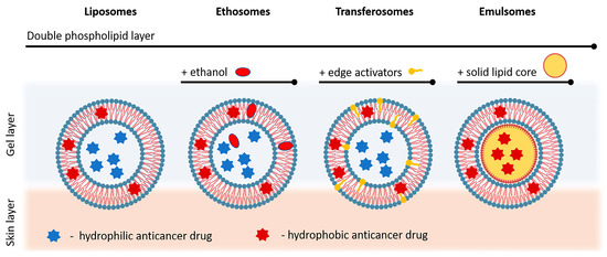 Gel Formulations for Topical Treatment of Skin Cancer: A Review