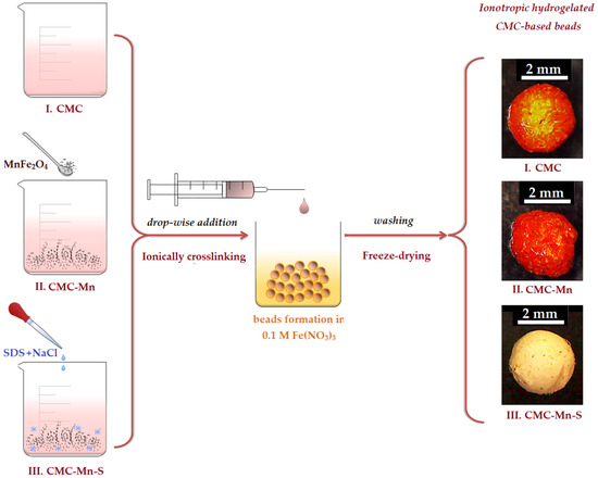 Magnetic Ionotropic Hydrogels Based on Carboxymethyl Cellulose for ...
