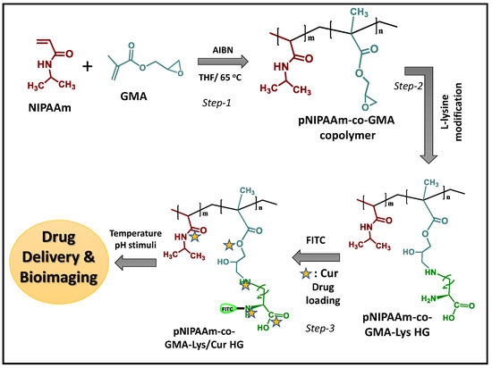 L-Lysine-Modified pNIPAm-co-GMA Copolymer Hydrogel for pH- and ...