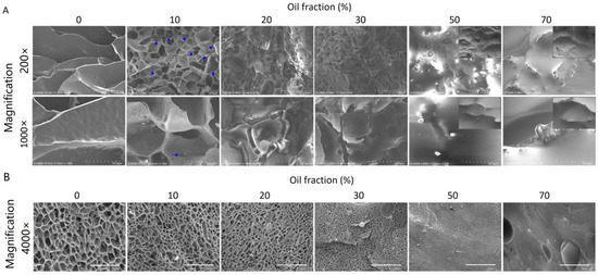 Food Emulsion Gels from Plant-Based Ingredients: Formulation ...