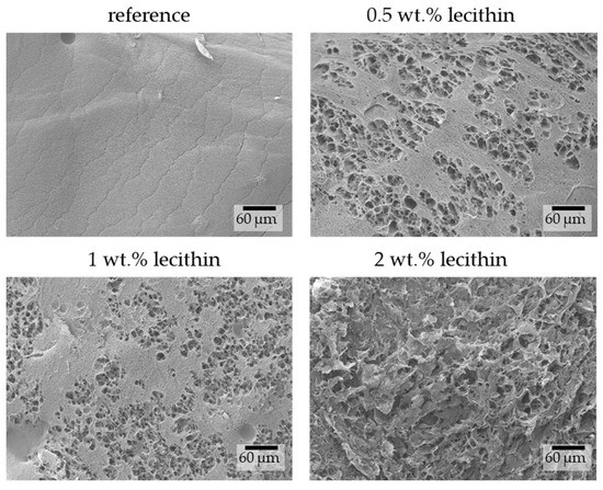 Lecithin as an Effective Modifier of the Transport Properties of ...