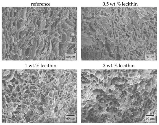 Lecithin as an Effective Modifier of the Transport Properties of ...