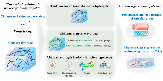 Chitosan Hydrogel as Tissue Engineering Scaffolds for Vascular ...