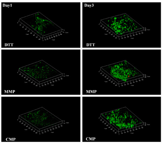 Diversity of Bioinspired Hydrogels: From Structure to Applications