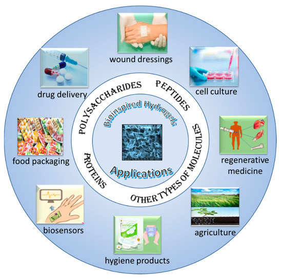 Diversity of Bioinspired Hydrogels: From Structure to Applications