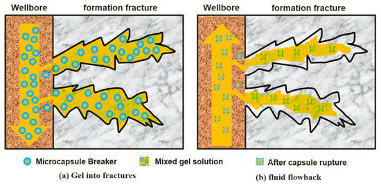 Preparation of Encapsulated Breakers for Polymer Gels and Evaluation of ...