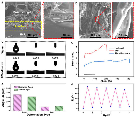 Gels | Free Full-Text | Polyurethane Shape Memory Polymer/pH-Responsive ...