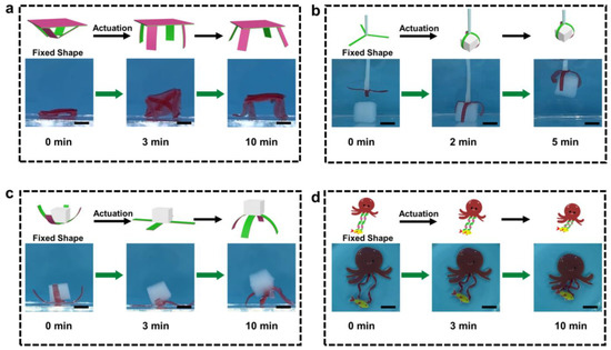 Polyurethane Shape Memory Polymer/pH-Responsive Hydrogel Hybrid for Bi ...