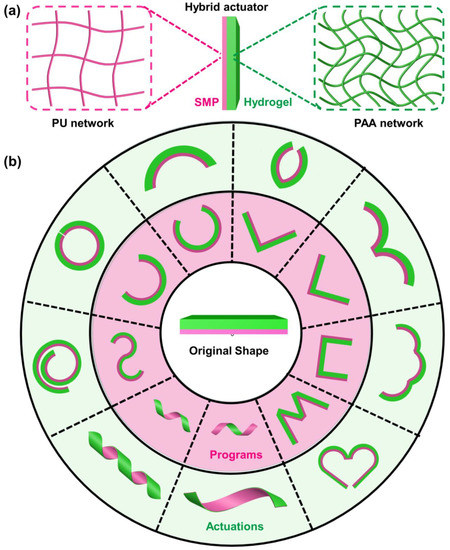 Polyurethane Shape Memory Polymer/pH-Responsive Hydrogel Hybrid for Bi ...