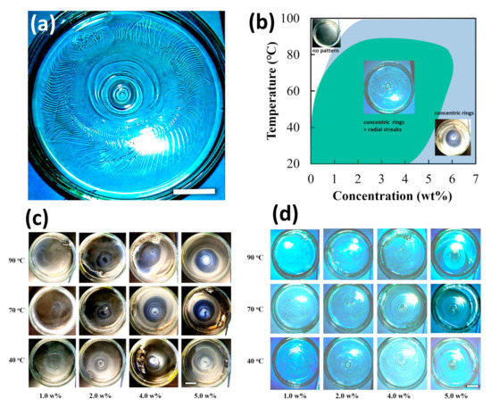 Macroscopic Pattern Formation of Alginate Gels in a Two-Dimensional System