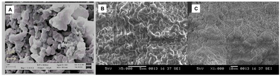 Innovative Wound Healing Hydrogel Containing Chicken Feather Keratin ...