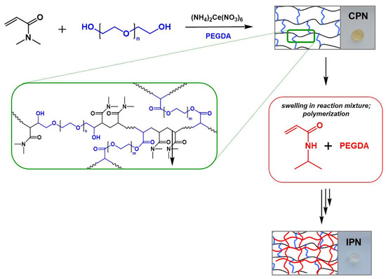 Conceptualization and Investigation of Multicomponent Polymer Networks ...