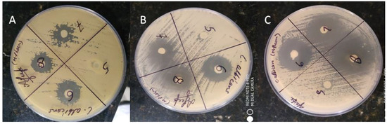 Development and Evaluation of Nanoformulations Containing Timur Oil and ...