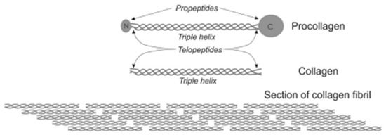 Synthesis, Characterization and Biological Properties of Type I ...