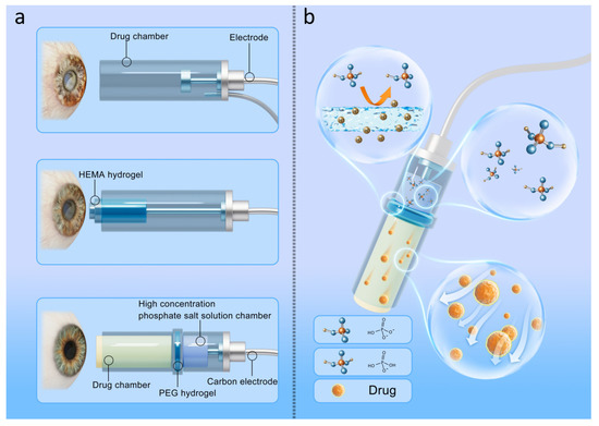 Gels | Free Full-Text | Application of Hydrogels in the Device of ...