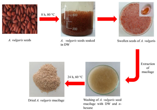 Polysaccharide-Based Hydrogel from Seeds of Artemisia vulgaris: Extraction Optimization by Box ...