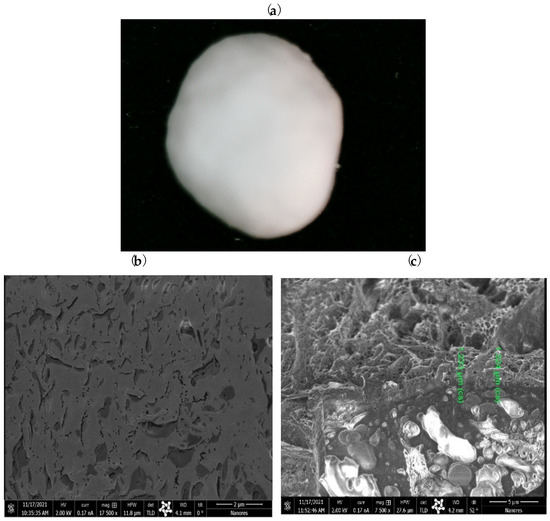 Hyaluronic Acid–Alginate Homogeneous Structures with Polylactide ...