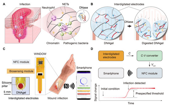 Hydrogel-Based Biosensors for Effective Therapeutics