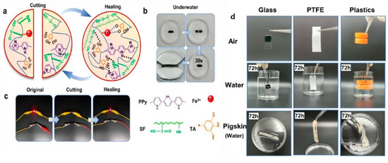 High-Performing Conductive Hydrogels for Wearable Applications