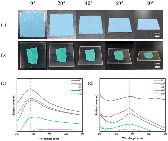 An Angle-Independent Multi-Color Display Electro-Responsive Hydrogel Film