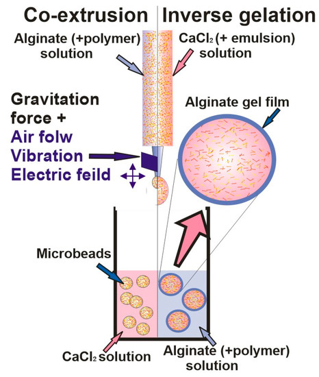 Alginate Gel-Based Carriers for Encapsulation of Carotenoids: On ...